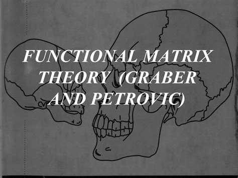Functional Matrix Theory Ppt