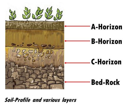 NCERT Solutions Std Science Soil Srinivasgollapelli