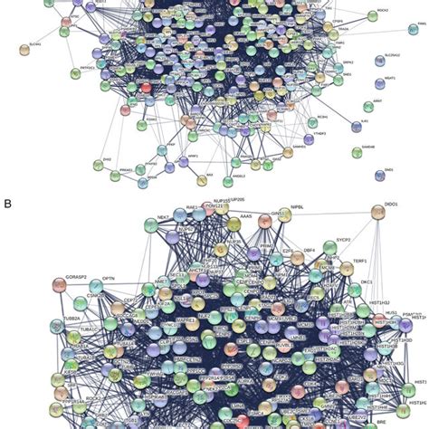ppi networks according to the string online database a ppi network