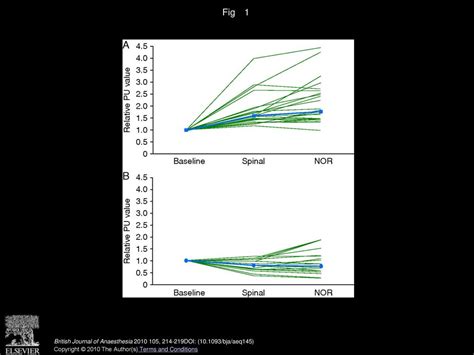 Norepinephrine And Ephedrine Do Not Counteract The Increase In