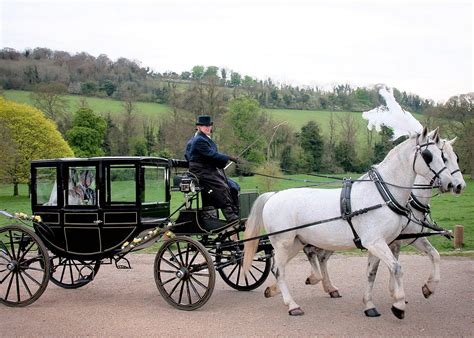 White Horse And Carriage Wedding