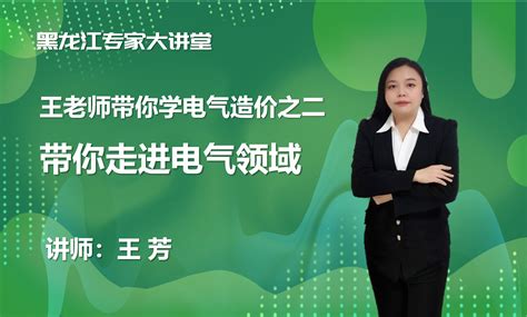 王老师带你学电气造价之二 带你走进电气领域 服务新干线建筑课堂