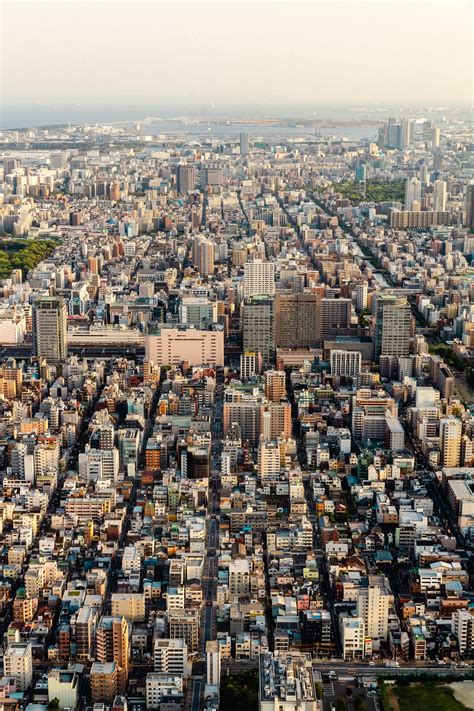Introduction To Angular Generic Ui Grid By Luke Generic Ui Medium