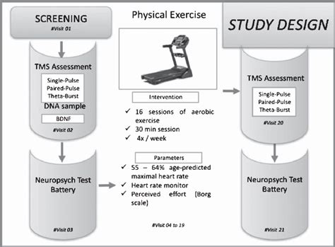 Study Design Flowchart Download Scientific Diagram