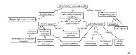 Cell Membrane And Organelles