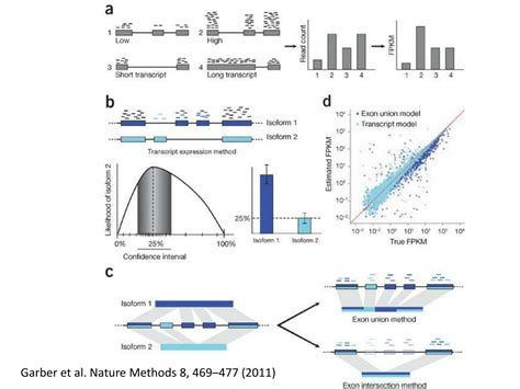 Ppt Transcriptome Reconstruction And Quantification Powerpoint