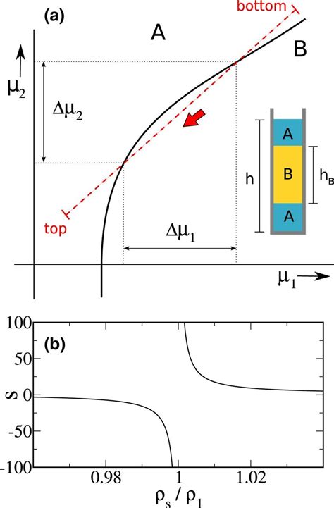 A Schematic Bulk Phase Diagram Of A Colloidal Binary Mixture In The
