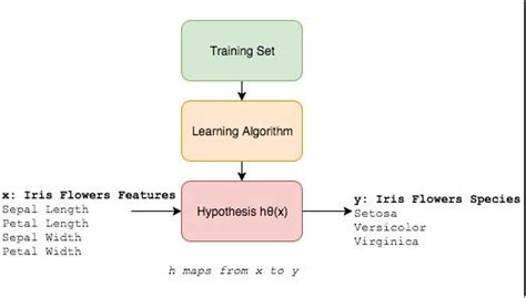 Build Your First Neural Network In Python By Anni Sapountzi Medium