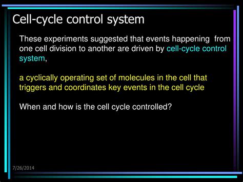 PPT The Cell Cycle Control PowerPoint Presentation Free Download ID 2404558