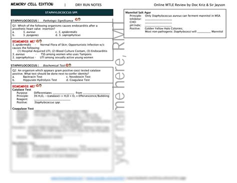 SOLUTION Dry Run Notes Unlocked Studypool