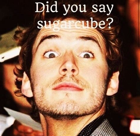 Finnick Odair Sugar Cube Quote