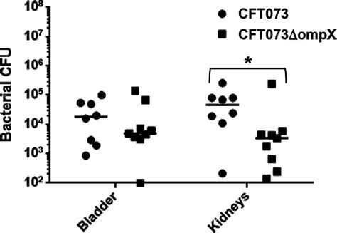 Roles Of Ompx An Outer Membrane Protein On Virulence And Flagellar