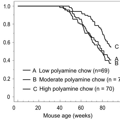 Sam Is A Methyl Donor And Dcsam Inhibits Dnmt Activity Download