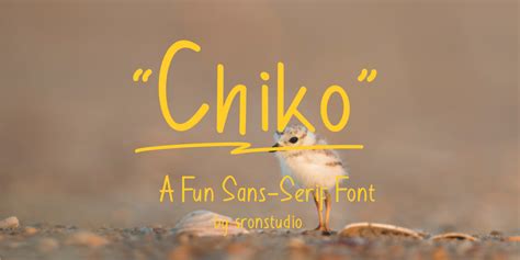 Chiko Font Digital Font Download