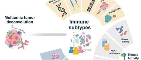 Cell｜肿瘤免疫的泛癌蛋白质组学研究 知乎