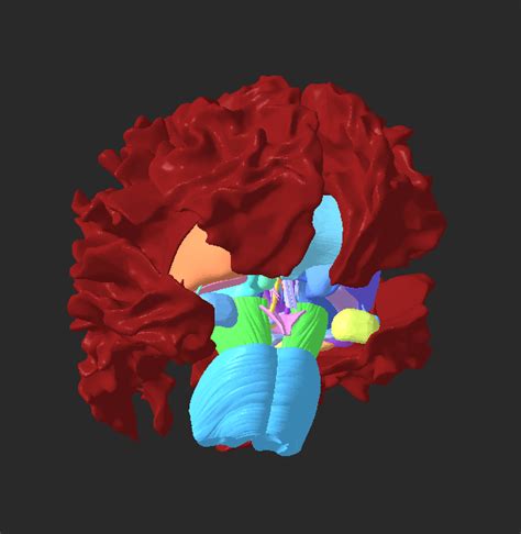 3d File Cell Part Cluster Of Neuraxis Segmented 🦷 ・3d Printable Model