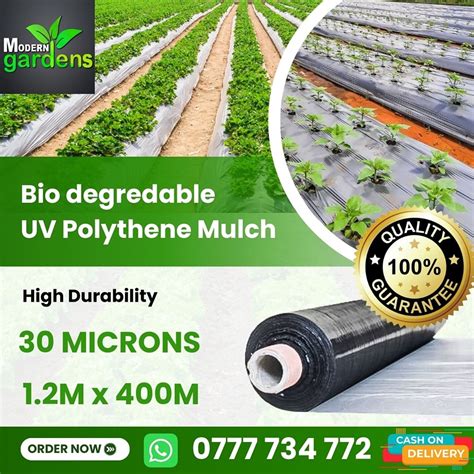 Modern Gardens 🌿 Unlock The Benefits Of Polythene Mulch