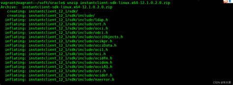 linux php7 2环境下安装pdo oci，oci8扩展使用yii连接oracle linux php源码添加oci8扩展 csdn博客