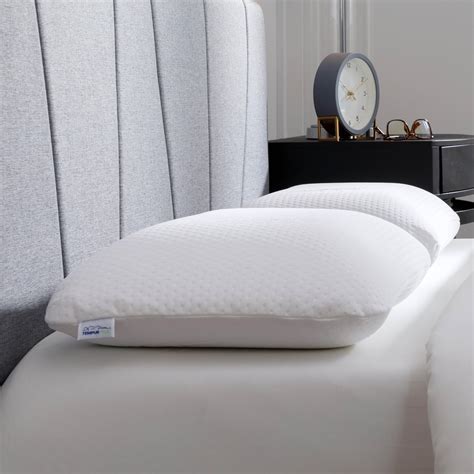 7 Best Pillows For Sofa No More Couch Mash