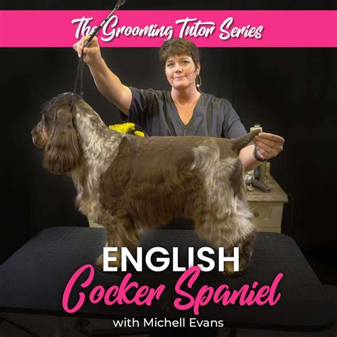 English Cocker Spaniel Groom Haüs