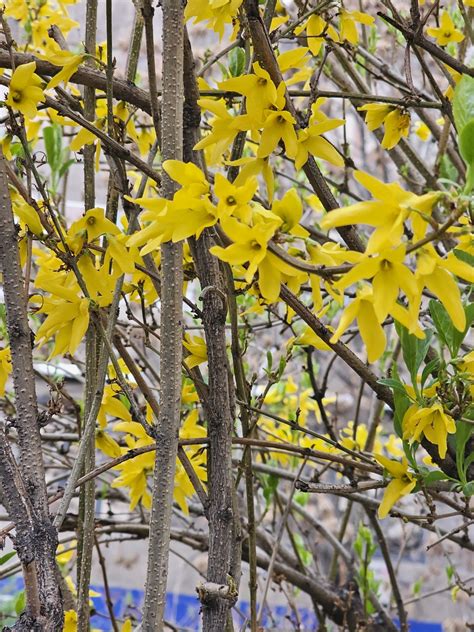 Mari Dalijunts Posted On Linkedin