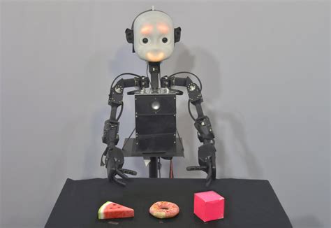 Neuro Inspired Companion Robot Nico In The Object Learning Scenario Download Scientific Diagram