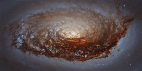 La Galaxie Du Œil Noir Un Regard Dans Lunivers