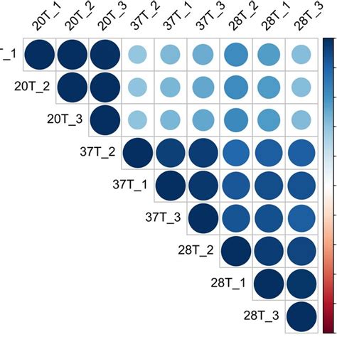 Correlation Of Gene Expression Levels Between Samples Cultured Under