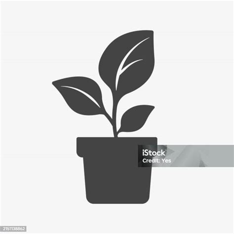 화분에 심은 식물 아이콘입니다 꽃 봄 새싹 심볼 로고 일러스트 벡터 실루엣에 대한 스톡 벡터 아트 및 기타 이미지 실루엣 성장 개념 씨앗 Istock