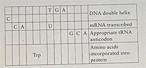 Solved A Use The Codon Table In Figure To Complete The Chegg Com
