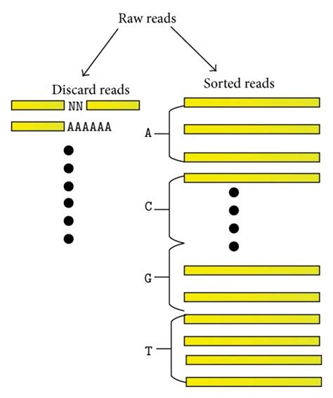 some key steps of swa a raw reads processing input reads containing