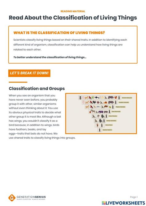 Reading Selecti Free Interactive Worksheets 2658339