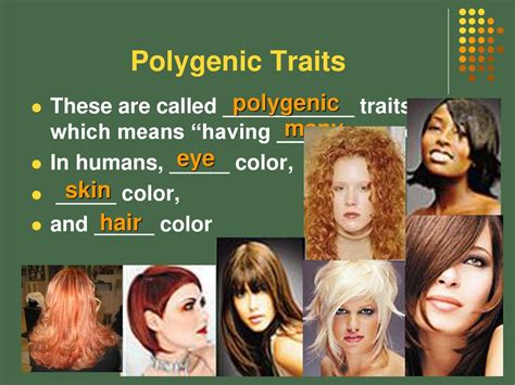 Mendelian Exceptions Ppt Download