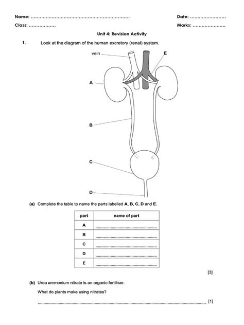 Unit 4 Revision Paper With Answers Pdf Wellness Science And Mathematics