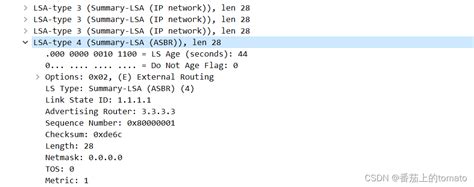 Ospf四类，五类和七类lsa详解4类lsa Csdn博客
