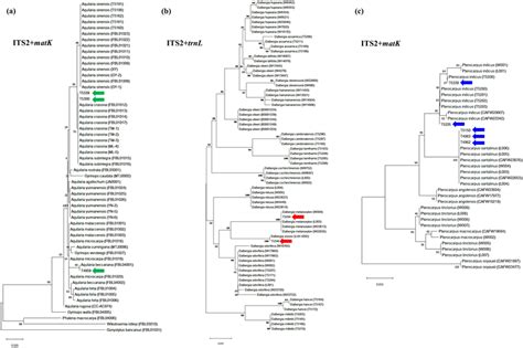 Neighbour Joining Trees Constructed Based On The Reference Dna Barcode