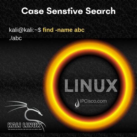 30 Examples Of Linux Find Command How To Use Linux Find ⋆ Ipcisco