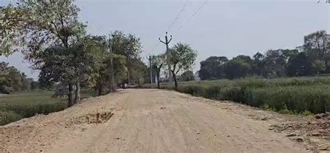 Road Side Pole Tree Detection Object Detection Dataset By Object Detection