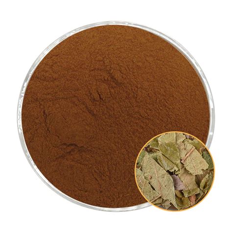 Loquat Leaf Extract Loquat Powder Sunhealth Biotech Co Ltd