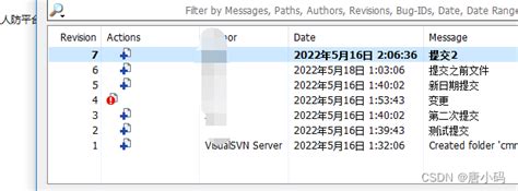 svn日志与版本信息修改指南 csdn博客