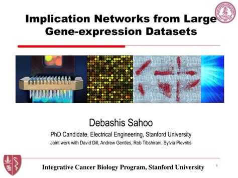 Ppt Implication Networks From Large Gene Expression Datasets