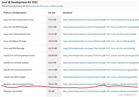 jdk17 tomcat11安装配置教程（压缩包方式） tomcat11 0安装教程 csdn博客