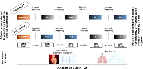 Figure 1 From Investigating Functional Brain Connectivity Patterns