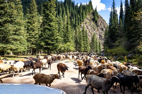 A 4x4 Self Drive Adventure In The Sary Jaz Valley In Kyrgyzstan Ak Suu