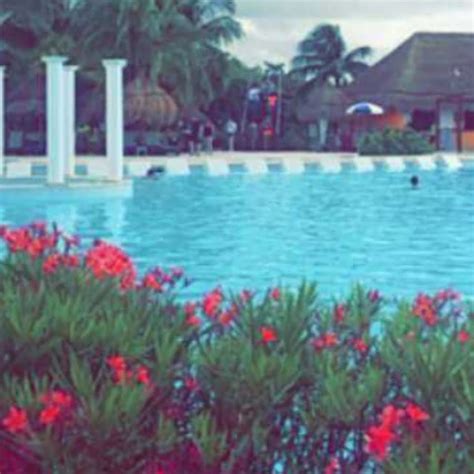 Wild Kitty 248 Youtube