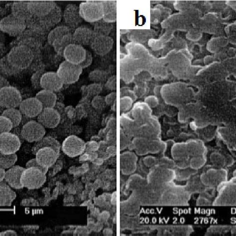 Pdf S Pvc Grain Morphology A Review