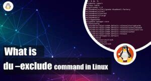 What Is Du Exclude Command In Linux Linux Genie