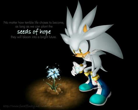 Its No Use Silver Silver The Hedgehog Garden Sonic And The Black