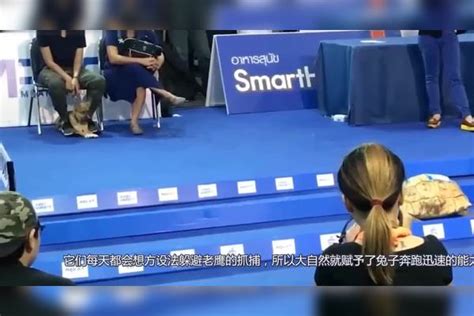 现实版的“龟兔赛跑”，乌龟用实力证明了，兔子当年输得不冤枉乌龟兔子实力