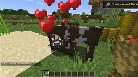 What To Feed Cows In Minecraft At David Carstens Blog